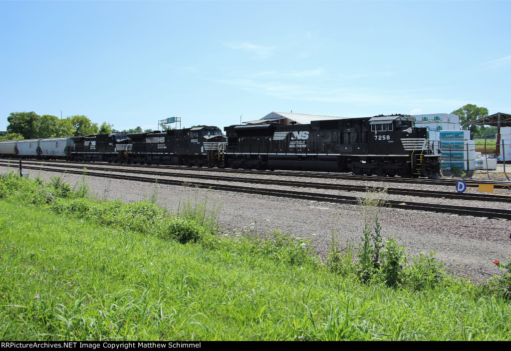 Elephant Style Ponies